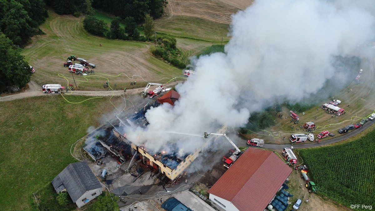 Juliekitties have found another very passionate, and unique